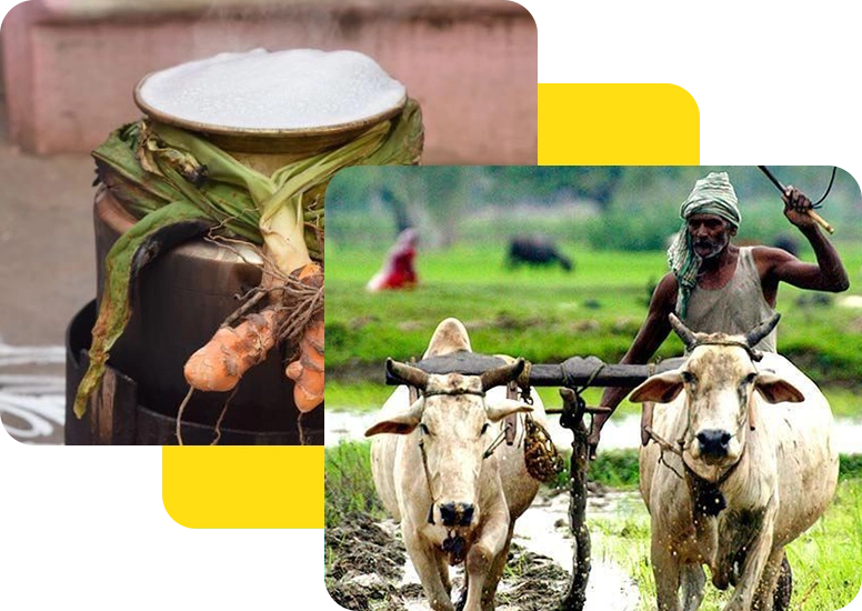 Tamil Culture Association