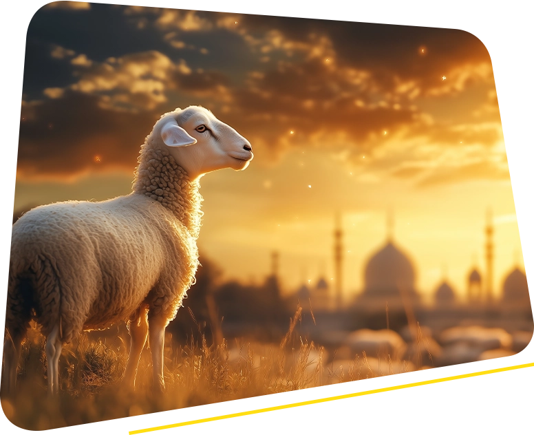 Muslim Festivals in Tamil Community | Cultural Unity